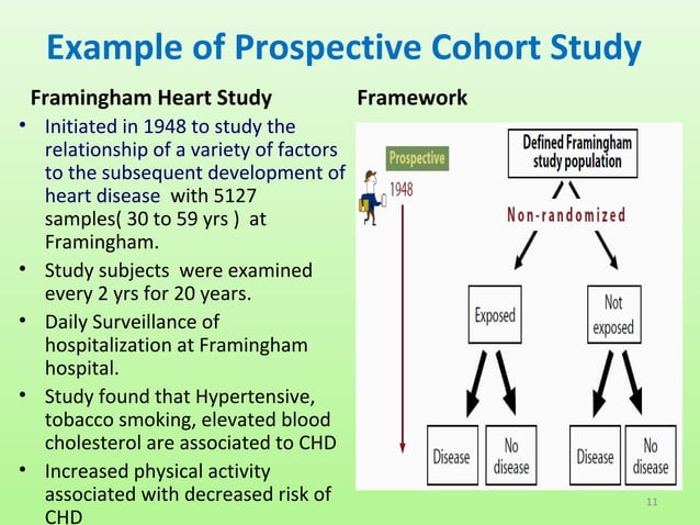 Cohort Study | PPT | Diseases and Conditions | Medical Health