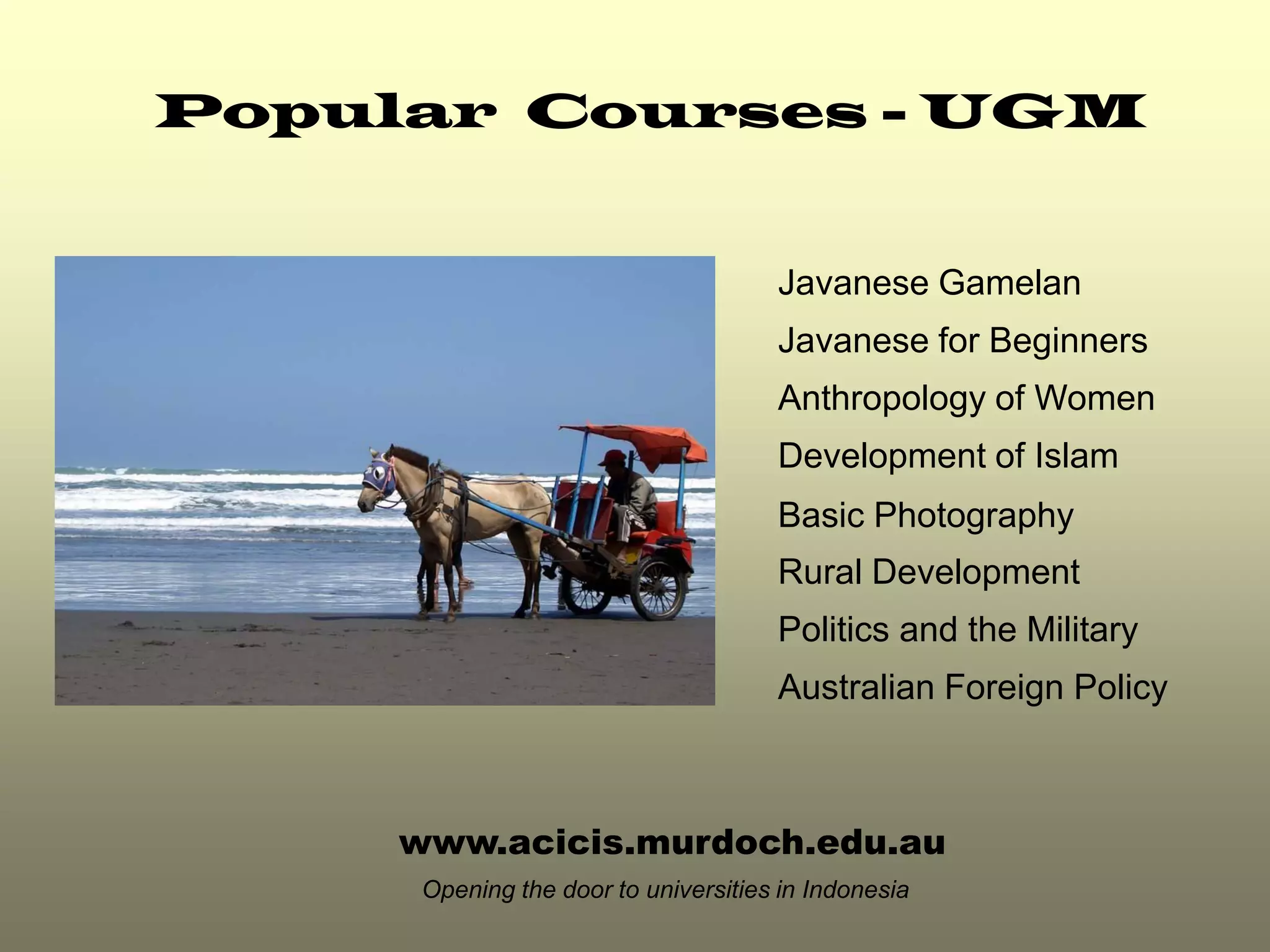 Acicis General Information | PDF