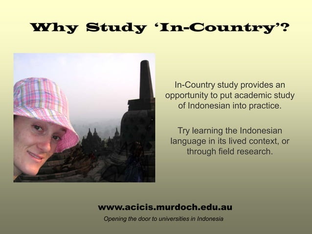 Acicis General Information | PDF