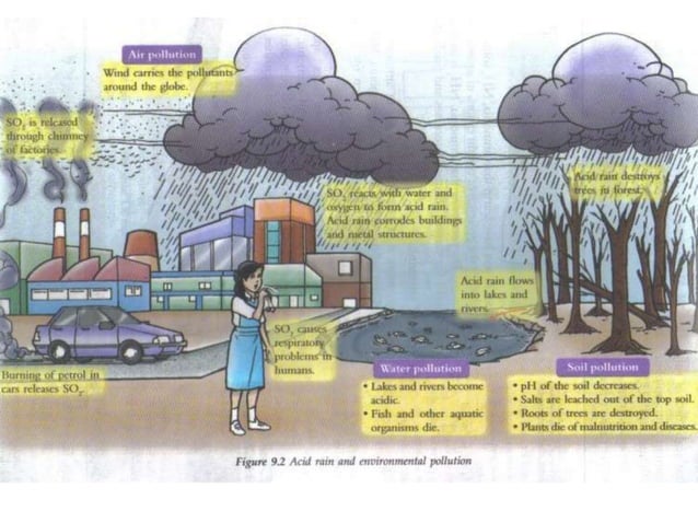 Acid rain | PPT