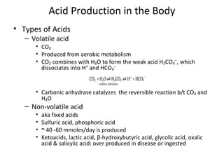 Acid base | PPT