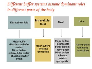 Acid base disorders | PDF | Blood Disorders | Diseases and Conditions