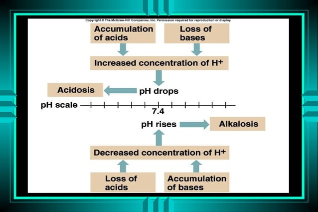 Acid base disorders | PPT