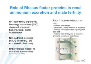 1-4. Acid-base disorders. Elena Levtchenko (eng) | PPT