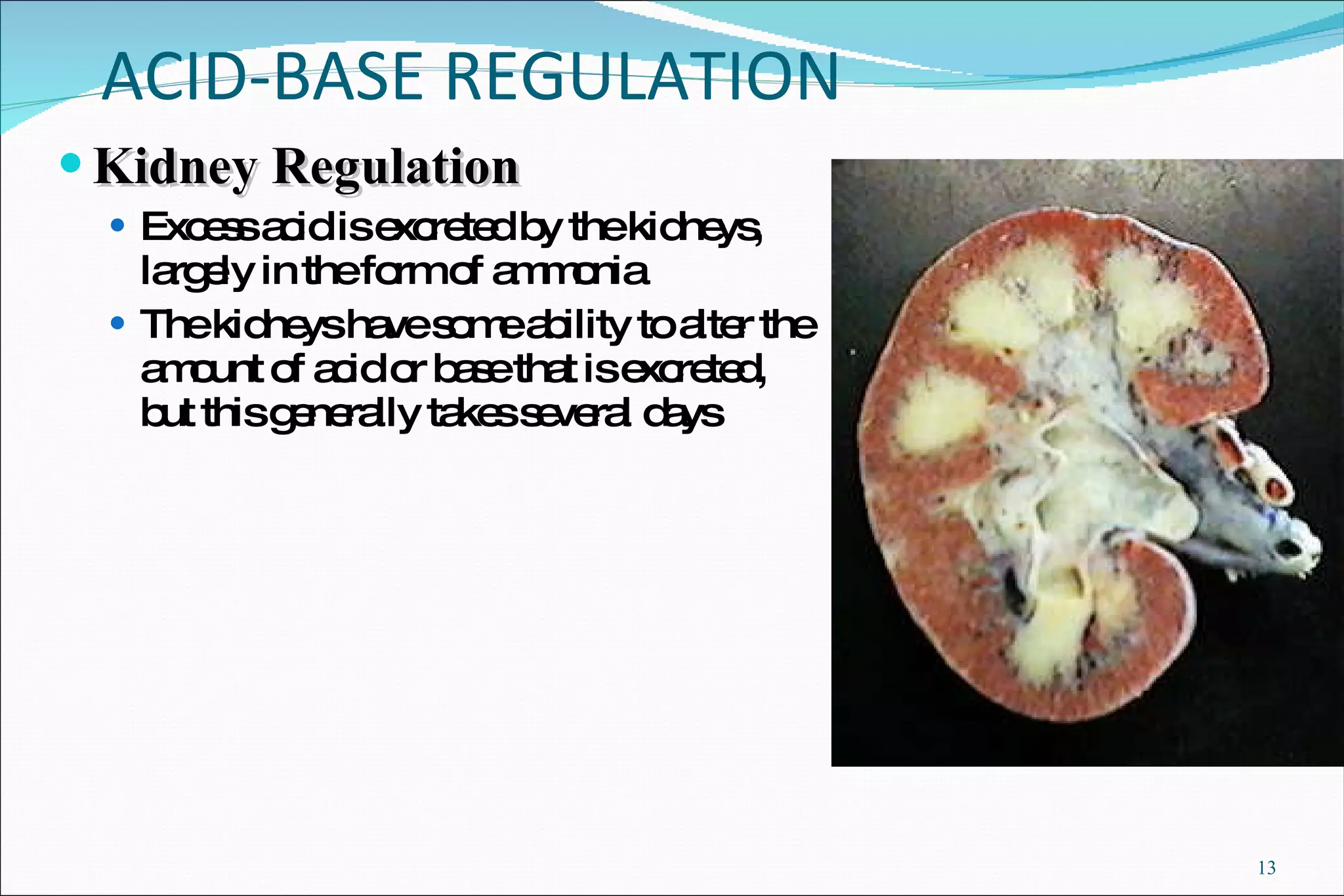 Acid Base Balance | PPT