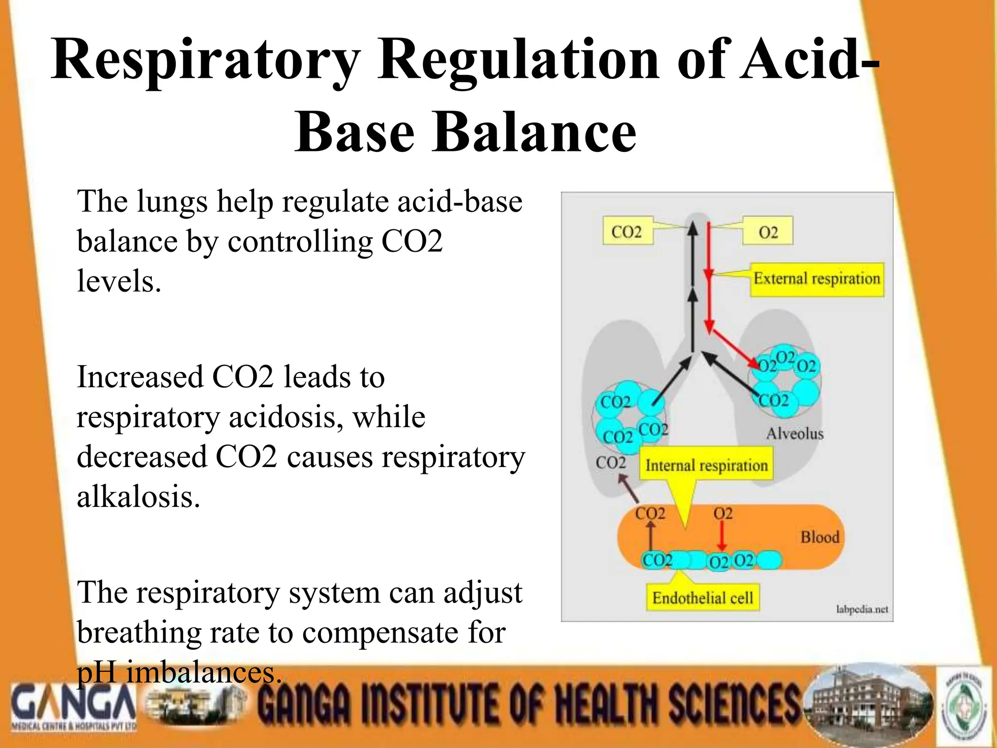 ACID-BASE BALANCE OF OUR HUMAN BODY .pptx