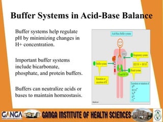 ACID-BASE BALANCE OF OUR HUMAN BODY .pptx