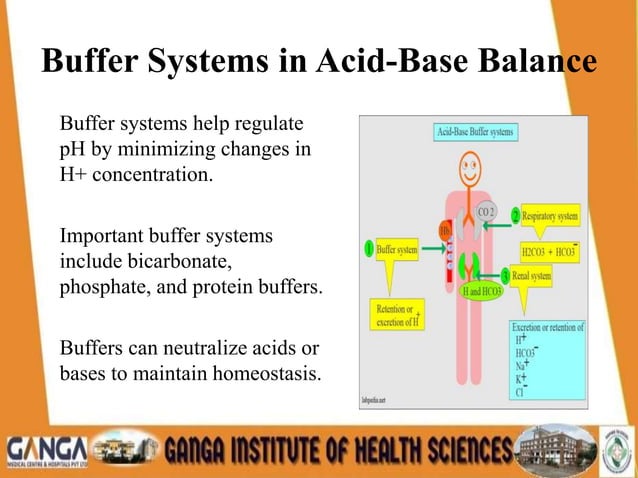 ACID-BASE BALANCE OF OUR HUMAN BODY .pptx