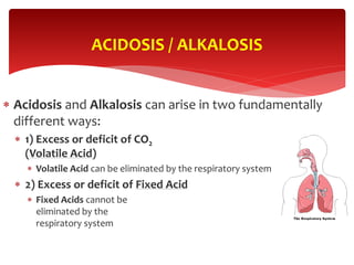 Acid base balance (2).ppt | PPT