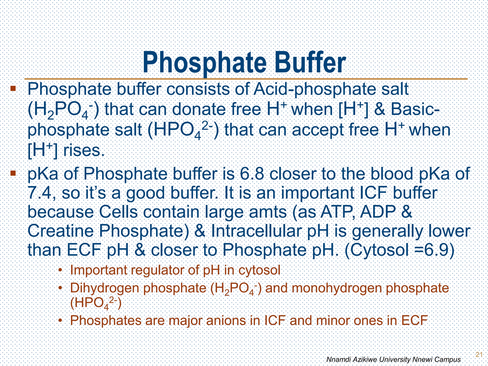 Acid-Base Homeostasis | PPTX