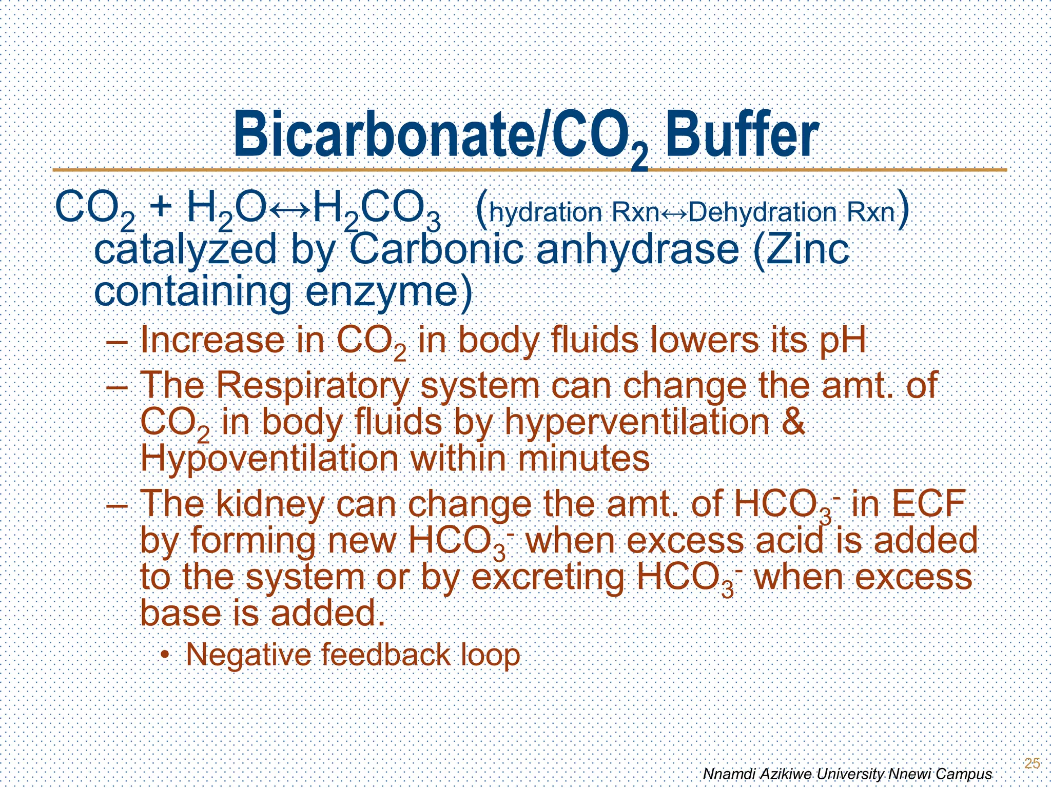 Acid-Base Homeostasis | PPTX