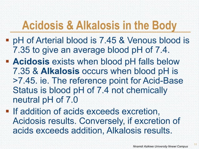 Acid-Base Homeostasis | PPTX | Lung and Respiratory Health | Diseases ...