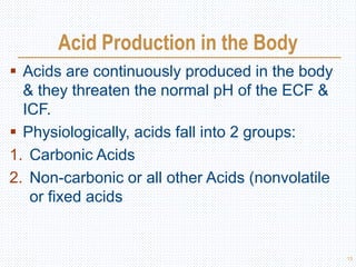 Acid-Base Homeostasis | PPTX | Lung and Respiratory Health | Diseases ...
