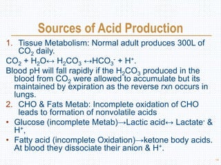 Acid-Base Homeostasis | PPTX