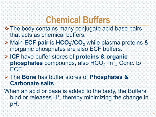 Acid-Base Homeostasis | PPTX | Lung and Respiratory Health | Diseases ...