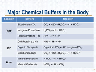 Acid-Base Homeostasis | PPTX | Lung and Respiratory Health | Diseases ...