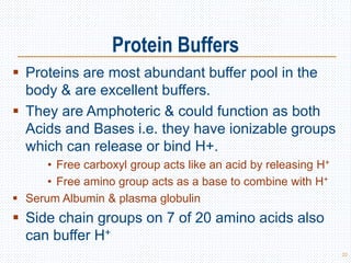 Acid-Base Homeostasis | PPTX | Lung and Respiratory Health | Diseases ...