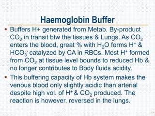 Acid-Base Homeostasis | PPTX