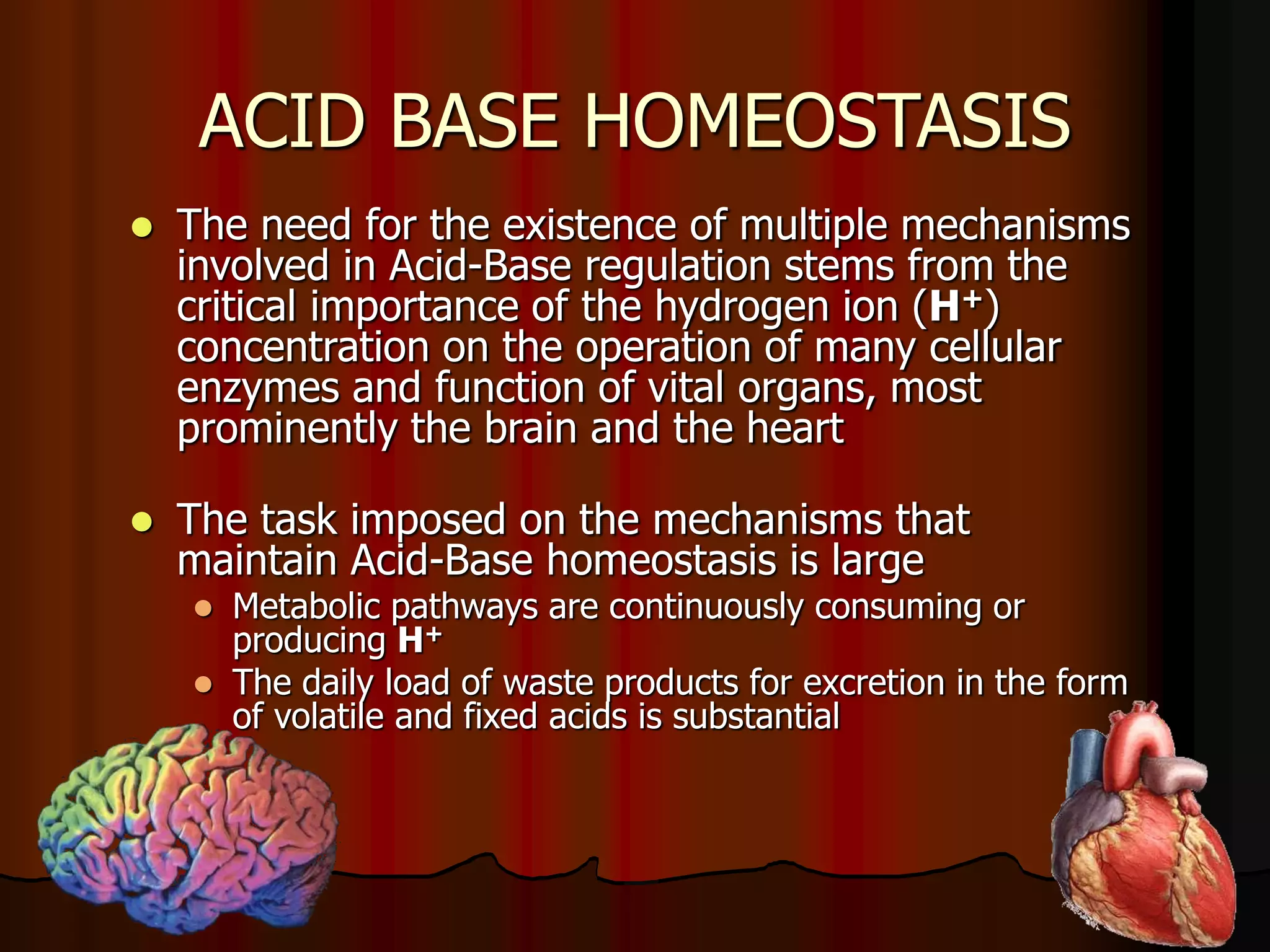 Acid Base Balance - Biochemistry of human homeostasis | PPT