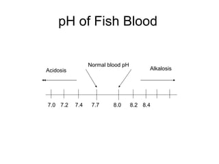 Acid Base Balance In Fishes | PPT