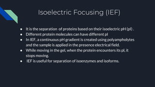 Acid - Base Balance in Human Body aiims .pptx