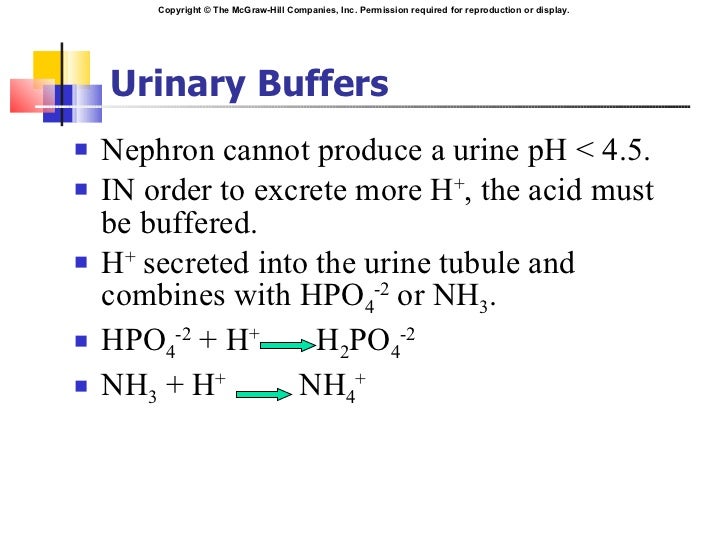 Acid base balance KUB by Dr. Samreena