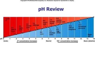 Respiratory Acid base balance by Dr. Samreena | PPT