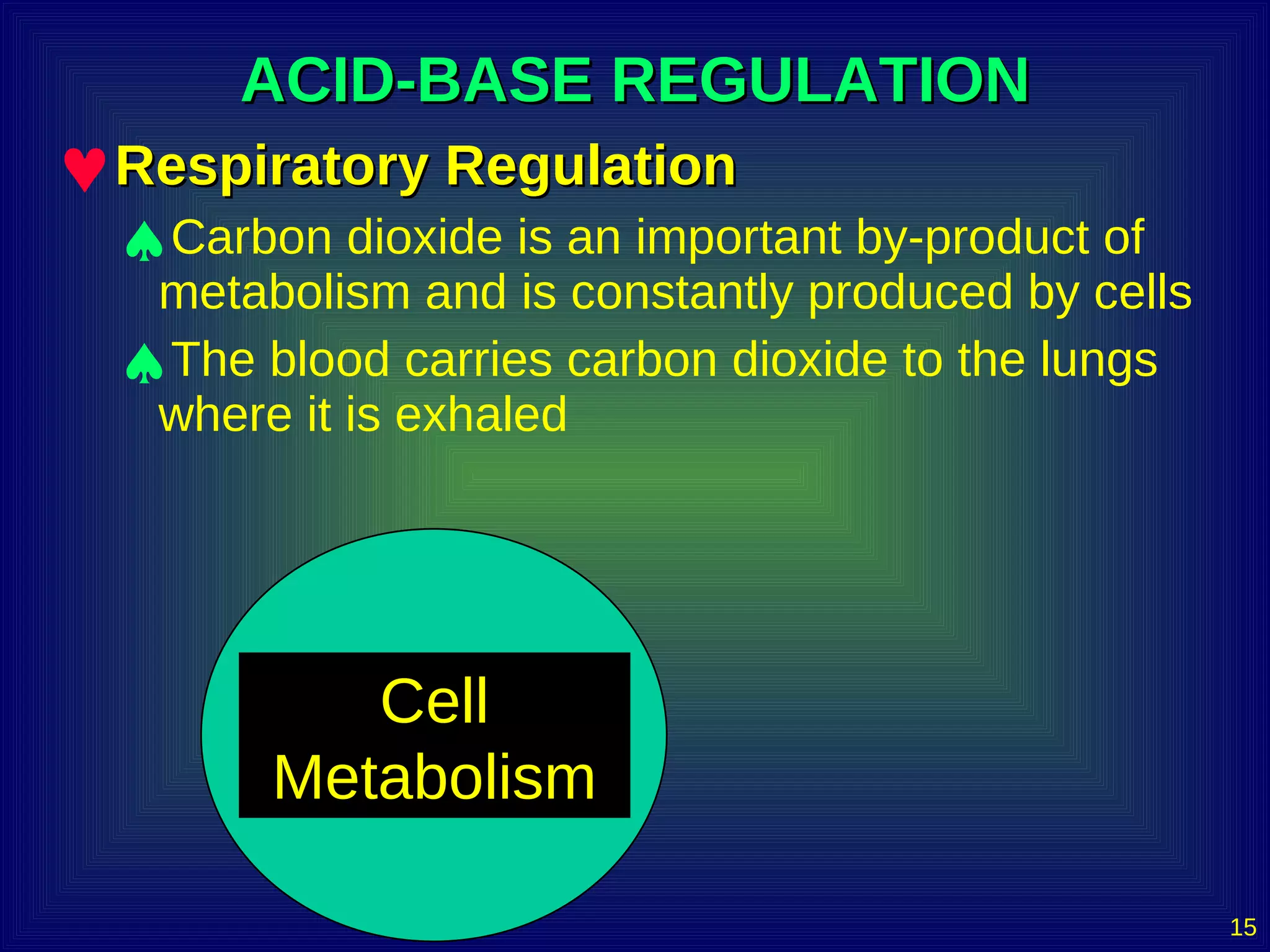 Acid Base Homeostasis | PPT