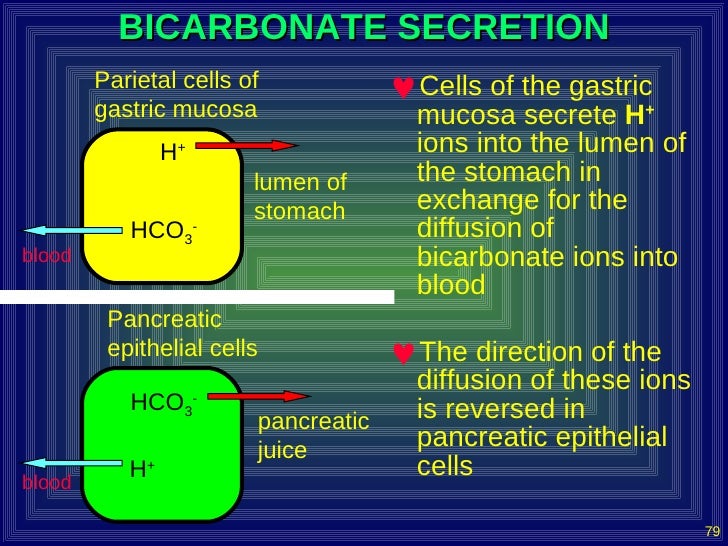 Acid Base Homeostasis