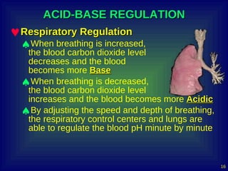 Acid Base Homeostasis | PPT