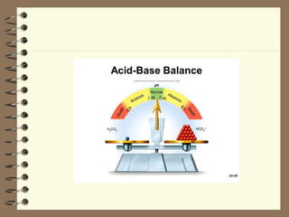 Acid- Base Imbalance pre examination guide | PPT