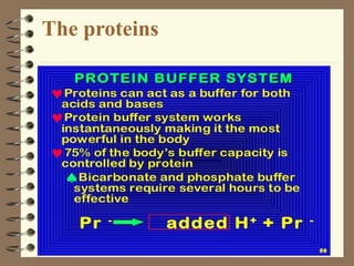 Acid- Base Imbalance pre examination guide | PPT
