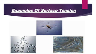 Acid-Base Indicator Molecular Properties Surface Tension .pptx