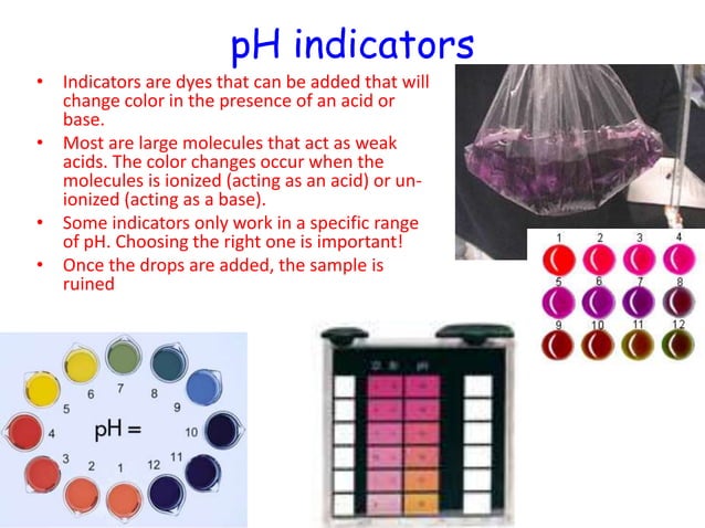 Acid-Base Indicators.ppt | Chemistry | Science