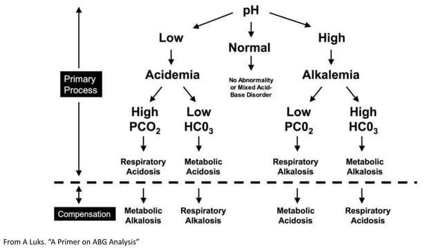 Acid-Base Patho .pptx