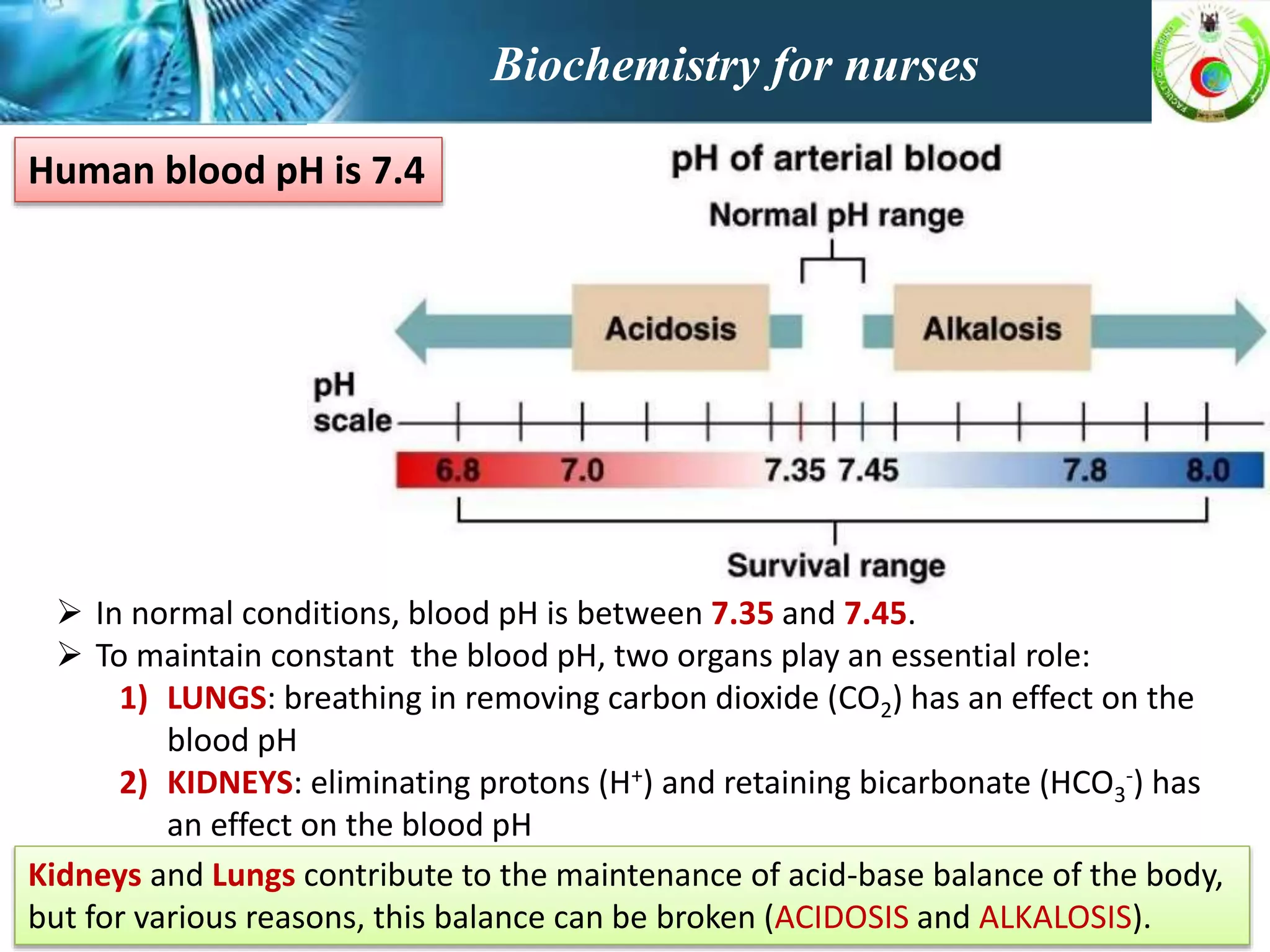 Acid base regulation | PPTX