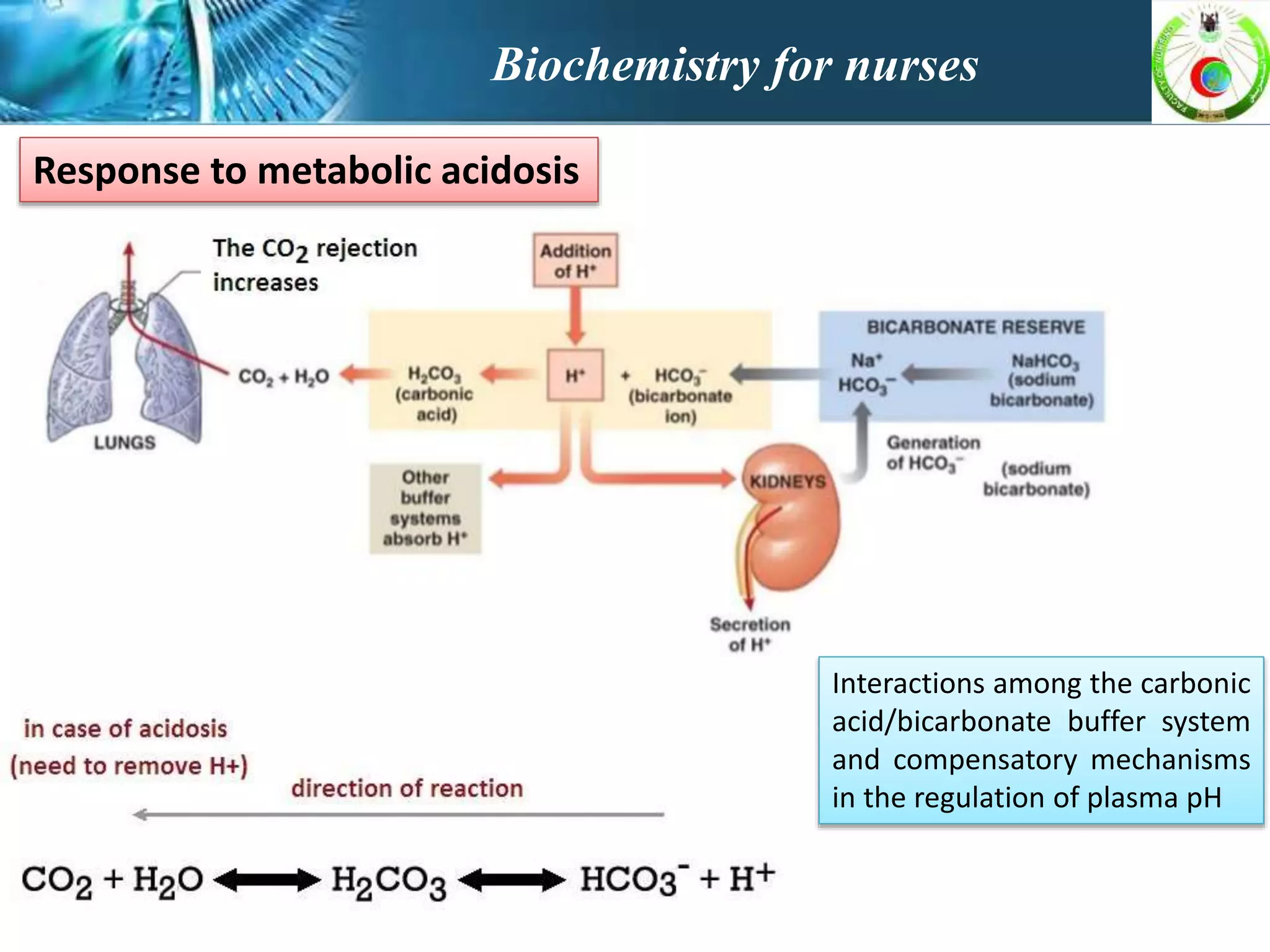 Acid base regulation | PPTX