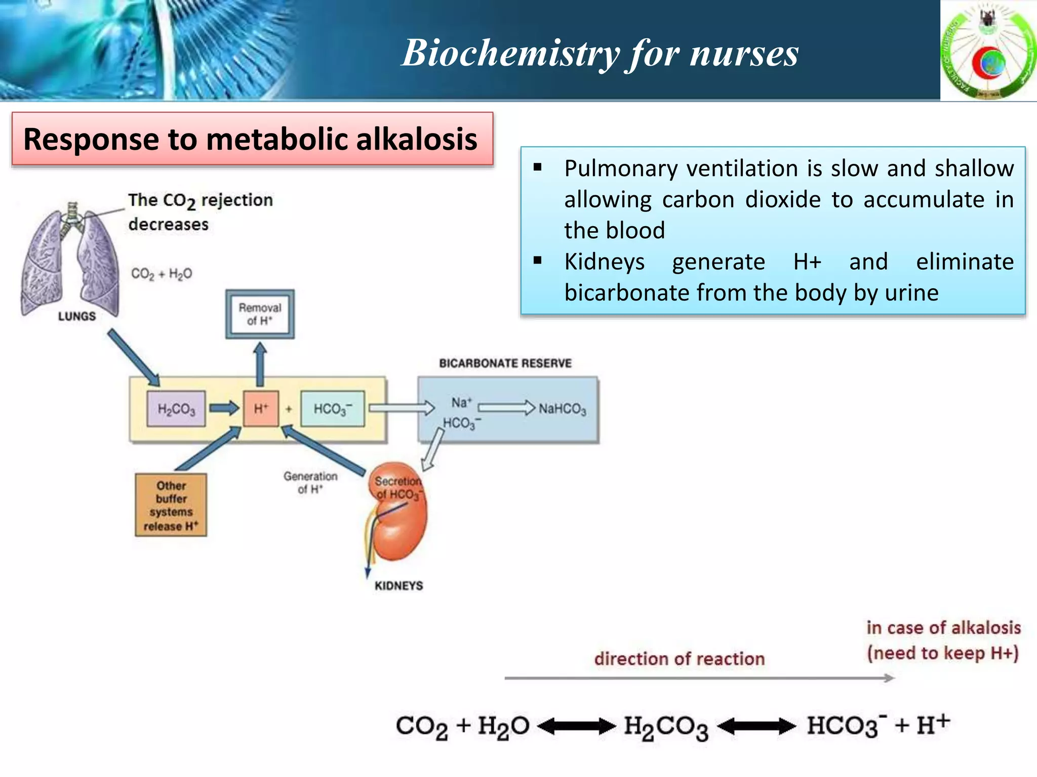 Acid base regulation | PPTX