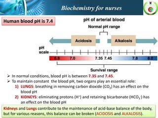 Acid base regulation | PPTX