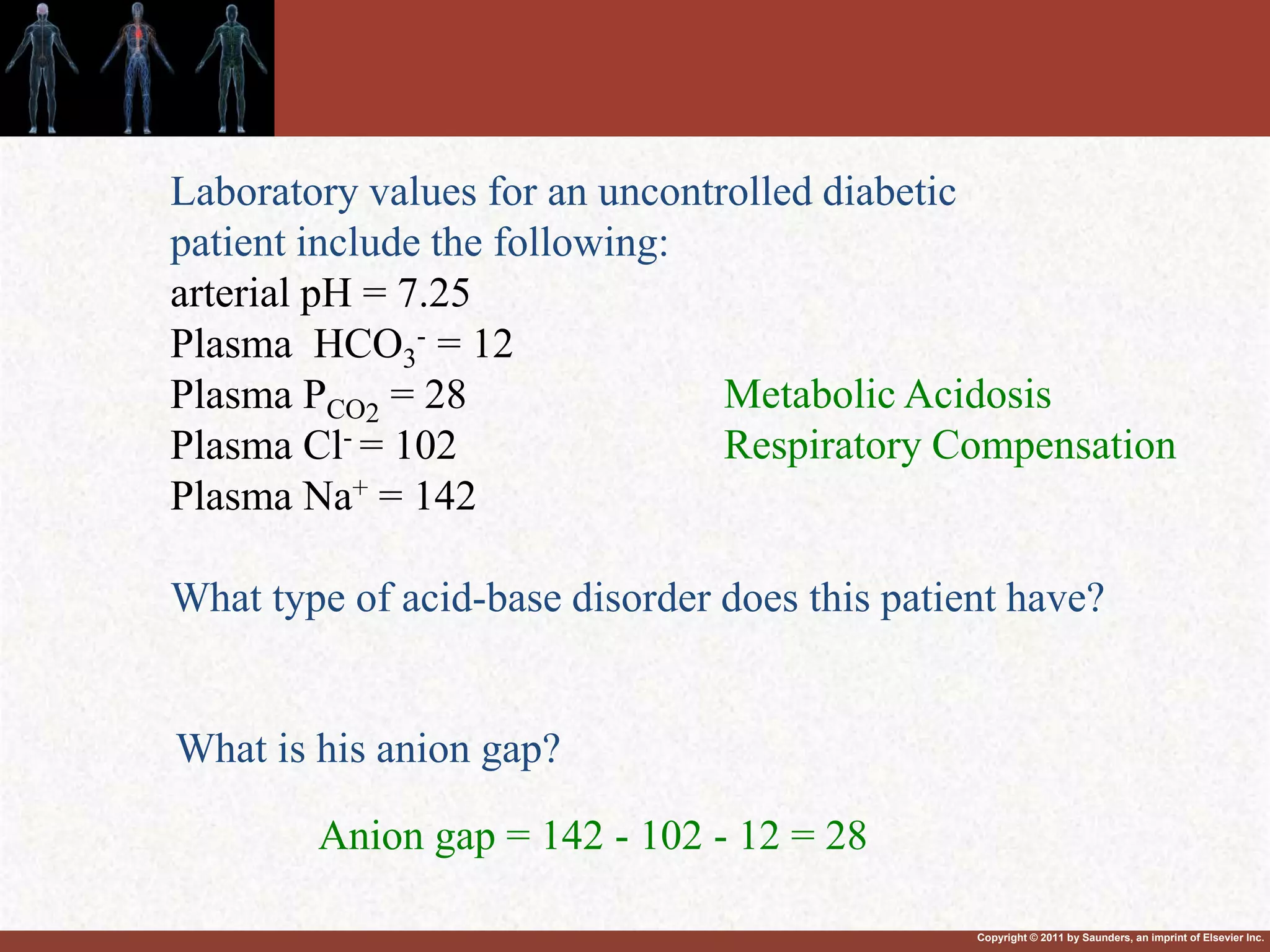 Acid-Base Regulation.ppt | Lung and Respiratory Health | Diseases and ...