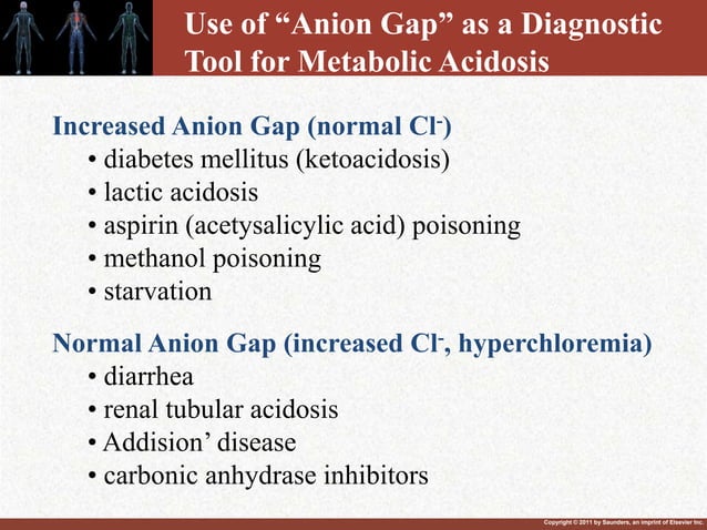 Acid-Base Regulation.ppt | Lung and Respiratory Health | Diseases and ...