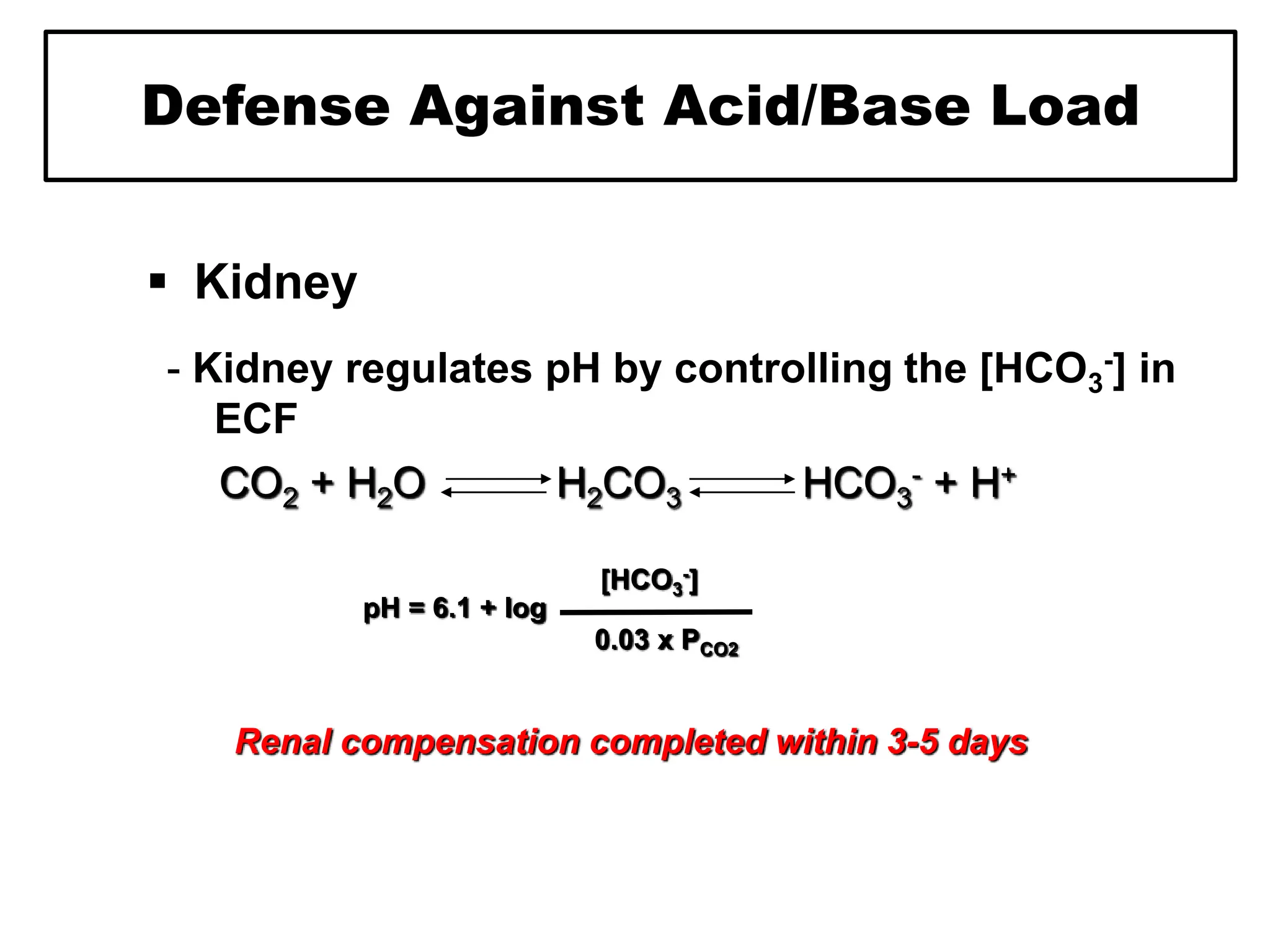 Acid-Base Regulation in the Kidney 2022 web with MCQ answers.pptx