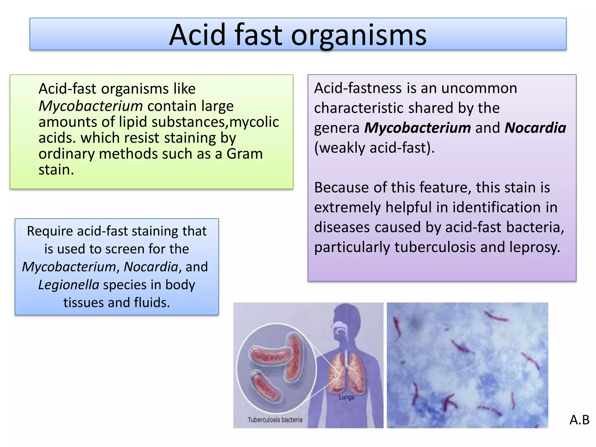 Acid fast staining | PDF