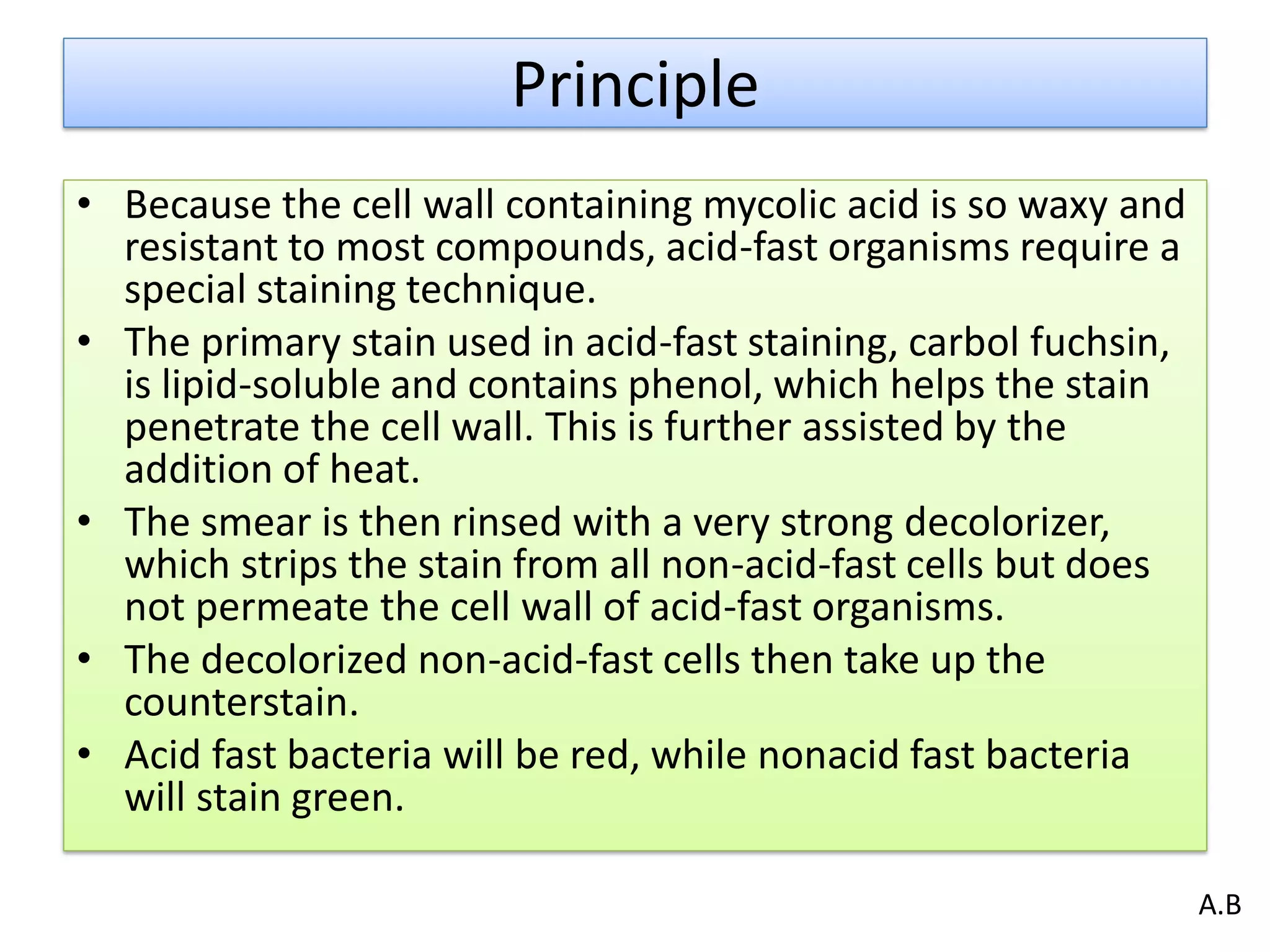 Acid fast staining | PDF | Chemistry | Science