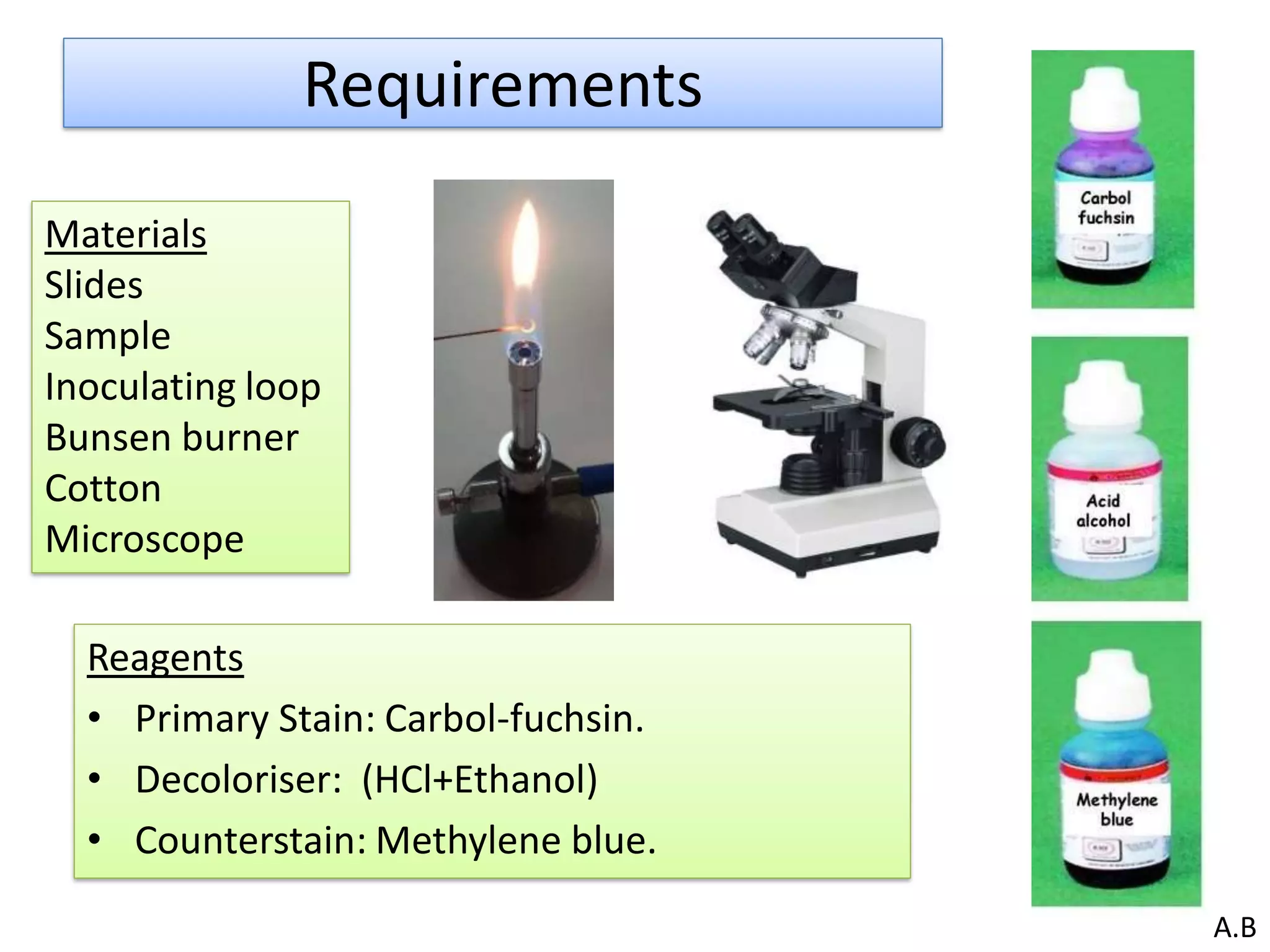 Acid fast staining | PDF