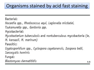 Acid fast staining | PDF