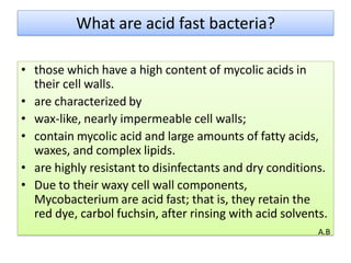Acid fast staining | PDF