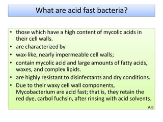 acid-faststaining for differentiate acid fast bacteria.pptx | Chemistry ...