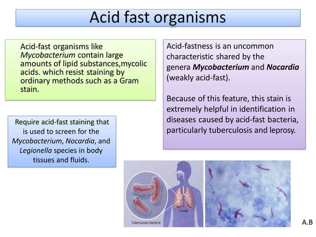 acid-faststaining for differentiate acid fast bacteria.pptx