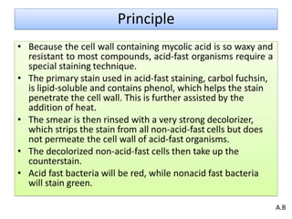 acid-faststaining for differentiate acid fast bacteria.pptx | Chemistry ...